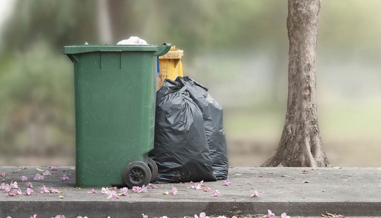 Spotgarbage La Aplicación Que Detecta Basura En Las Calles A Través De